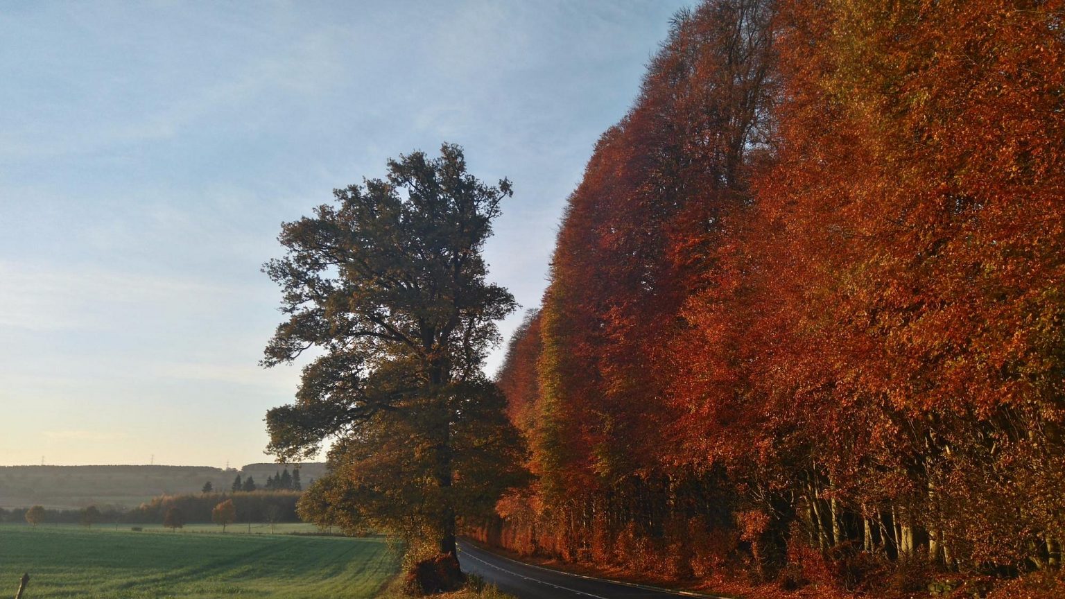 Burrelton – A community and pastoral website for the people of ...